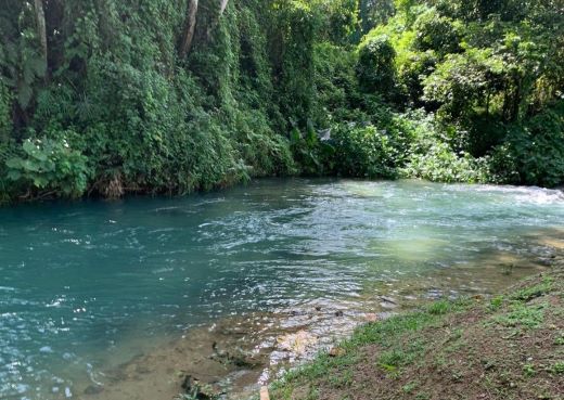 Blue Hole Ocho Rios (Jamaica) Attraction Boosted by Luxury Accommodations